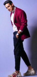 Priyank Sharma (Bigg Boss 11) Wiki, Age, Girlfriend, Wife, Family ...