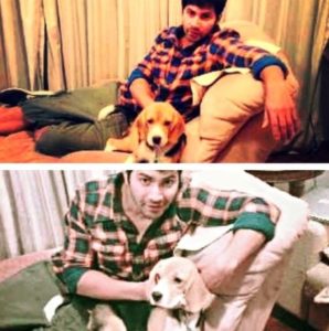 Varun Dhawan Wiki, Height, Age, Girlfriend, Wife, Family, Biography ...