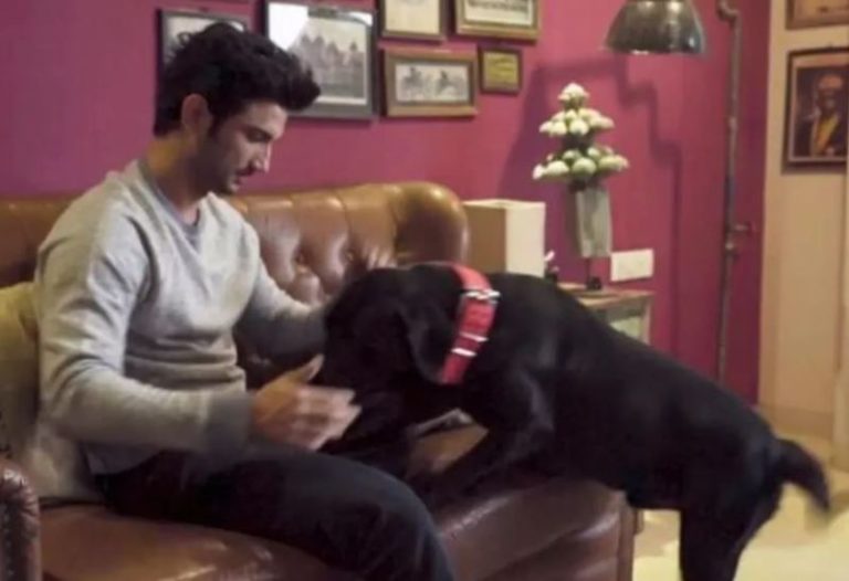 Sushant Singh Rajput Wiki, Height, Age, Death, Girlfriend, Family ...