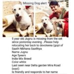 Devoleena Bhattacharjee Wiki, Age, Boyfriend, Husband, Children, Family ...