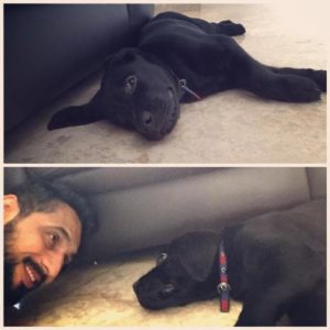 Punit Pathak Wiki, Height, Age, Girlfriend, Wife, Family, Biography ...