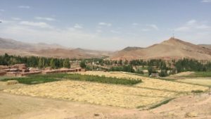 Qamar Gul (Afghan Girl) Wiki, Age, Husband, Family, Biography & More ...