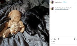 Stephanie Sy Wiki, Age, Height, Boyfriend, Family, Biography & More ...