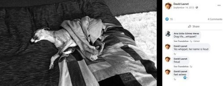 David Lasnet (Stella Tennant's Husband) Wiki, Height, Age, Children ...