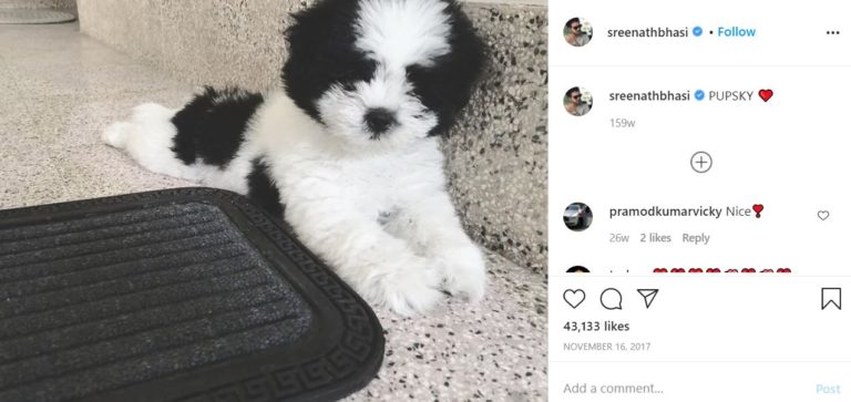 Sreenath Bhasi Wiki, Height, Age, Girlfriend, Wife, Family, Biography ...