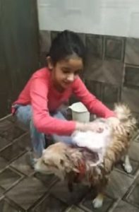 Inayat Verma (Child Actor) Wiki, Age, Family, Biography & More - WikiBio