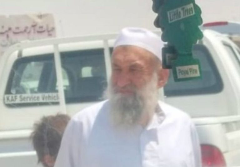 Mullah Mohammad Hasan Akhund Wiki, Age, Wife, Family, Biography & More ...