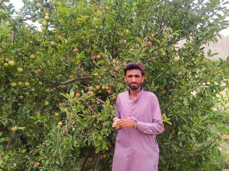 Wahab Ali Bugti Wiki, Age, Wife, Children, Family, Biography & More ...