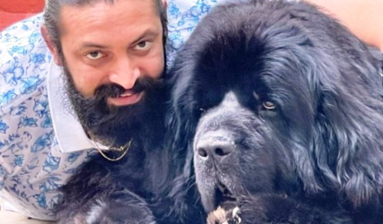 Vinay Bidappa Wiki, Height, Age, Girlfriend, Wife, Family, Biography ...