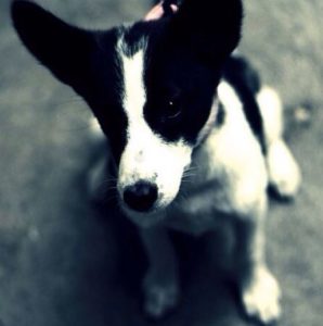 Varun Agarwal Wiki, Age, Girlfriend, Wife, Family, Biography & More ...