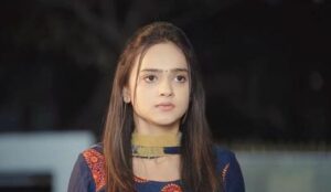 Sri Satya (Bigg Boss Telugu 6) Wiki, Height, Age, Boyfriend, Family ...