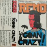 Remo Fernandes Wiki, Age, Wife, Family, Biography & More - WikiBio