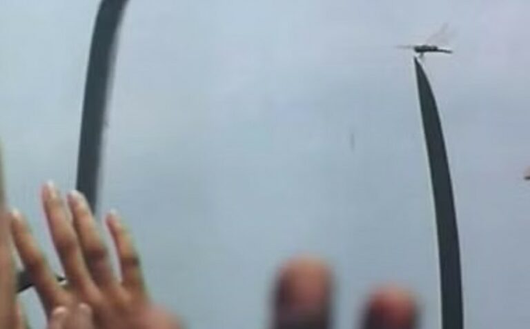 Ravi Varman Wiki, Age, Wife, Children, Family, Biography & More - WikiBio