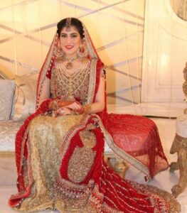 Ayla Malik Wiki, Age, Boyfriend, Husband, Family, Biography & More ...