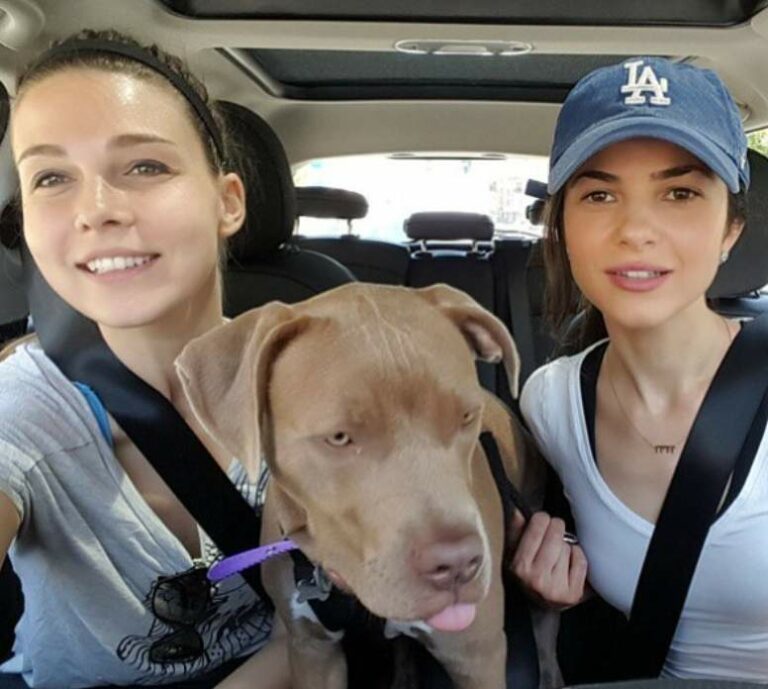 Chaya Raichik Wiki, Height, Age, Husband, Family, Biography & More ...