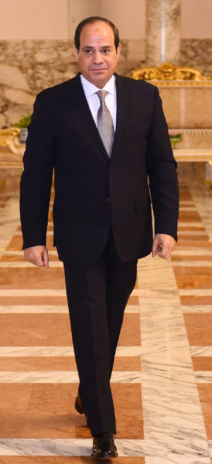 Abdel Fattah el-Sisi Wiki, Age, Caste, Wife, Children, Family ...