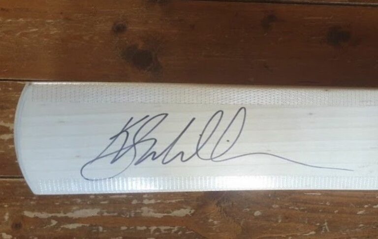 Kane Williamson Wiki, Height, Age, Wife, Children, Family, Biography ...