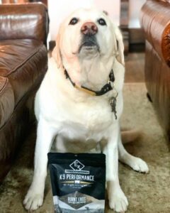 Marcus Luttrell Wiki, Height, Age, Wife, Family, Biography & More - WikiBio