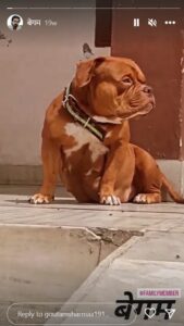 Goutam Sharma Wiki, Age, Girlfriend, Family, Biography & More - WikiBio