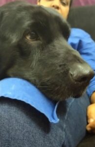 Prashanthini Wiki, Age, Husband, Family, Biography & More - WikiBio