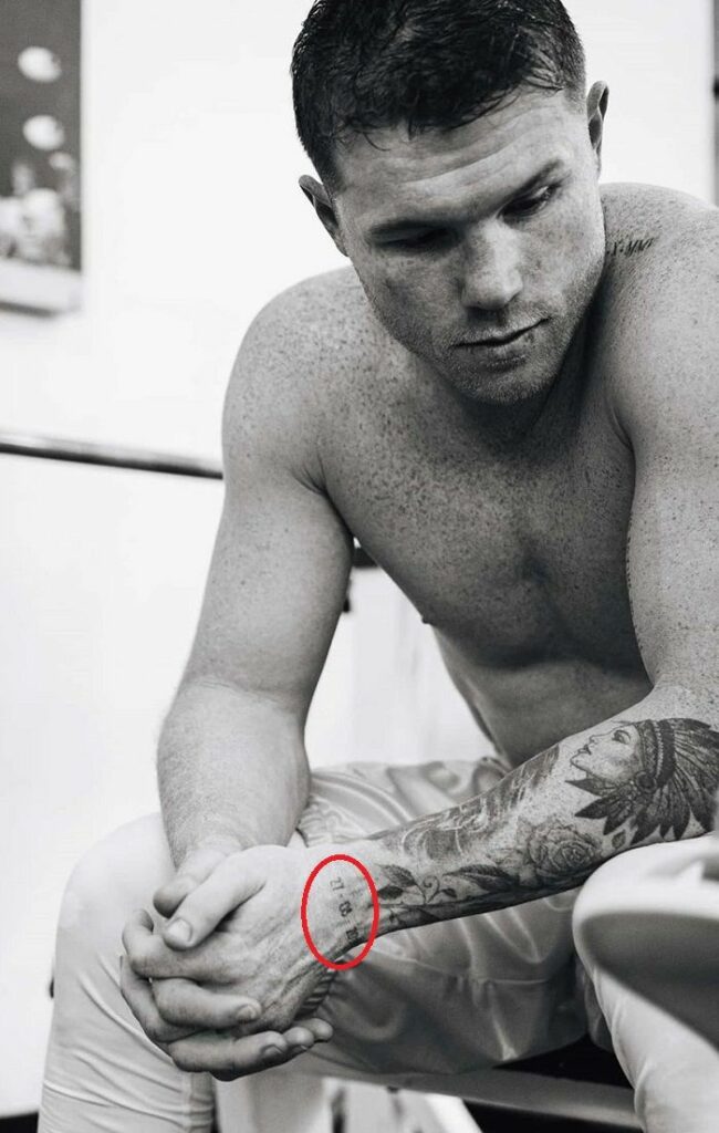 Canelo Álvarez Wiki, Height, Age, Girlfriend, Wife, Children, Family ...