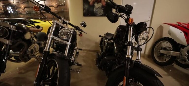 Canelo Álvarez Wiki, Height, Age, Girlfriend, Wife, Children, Family, Biography & More - WikiBio