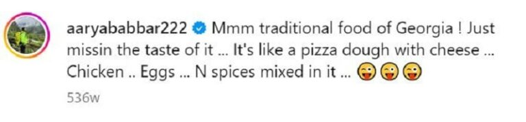 Aarya Babbar Wiki, Height, Age, Girlfriend, Wife, Family, Biography ...