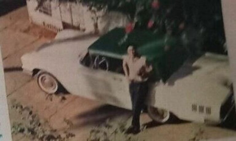 Joy Mukherjee Wiki, Age, Death, Wife, Children, Family, Height ...